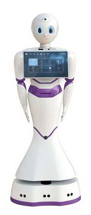 Humanoid Service Robot | www.singaporerobot.com